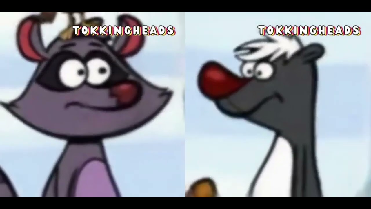 Raccoon and Skunk Sing See You Again - YouTube