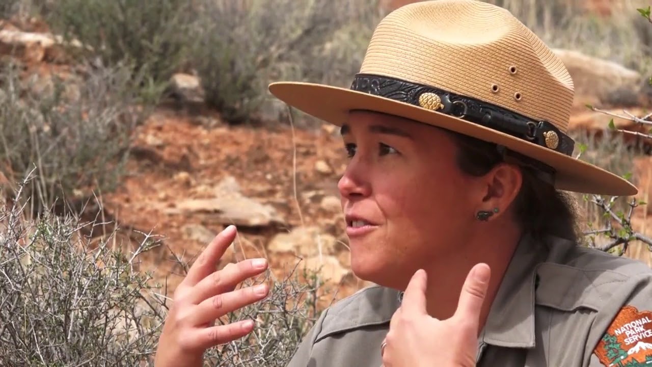 How life survives under extreme conditions- NPS National Parks Service ...