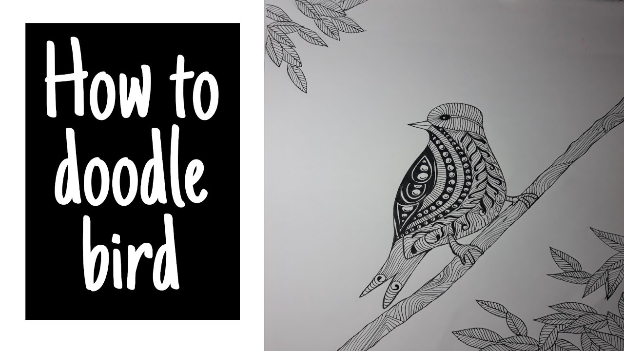 Bird doodle art - YouTube