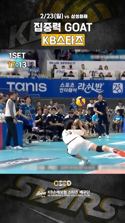 KB스타즈 구단 최초 8연승 달성💛 #shorts #챌린저16기 #KB손해보험스타즈배구단 #KB스타즈배구단 #KB스타즈 #남자배구 #KOVO #8연승 - YouTube