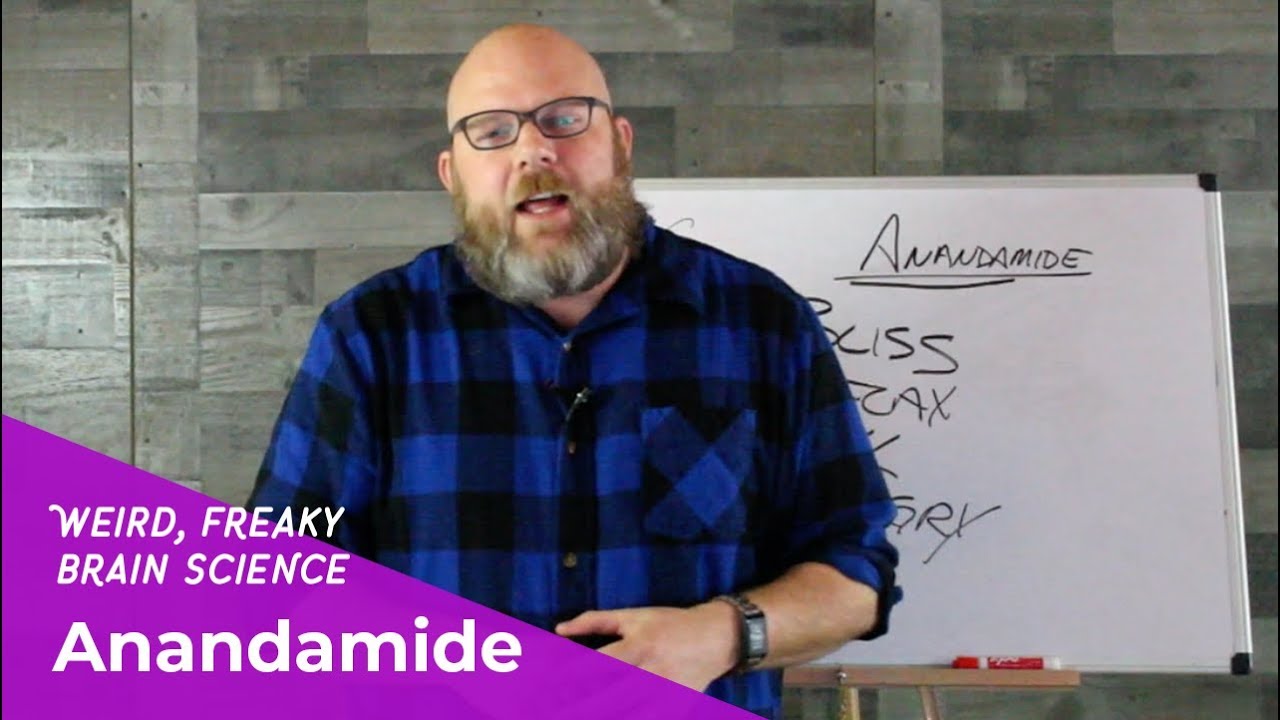 Weird, Freaky Brain Science Anandamide - YouTube