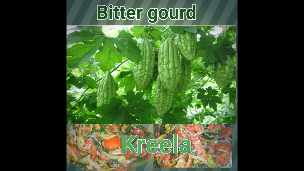 Krela | Bitter gourd | #healthy #special #youtube #chef #reels #viral # ...