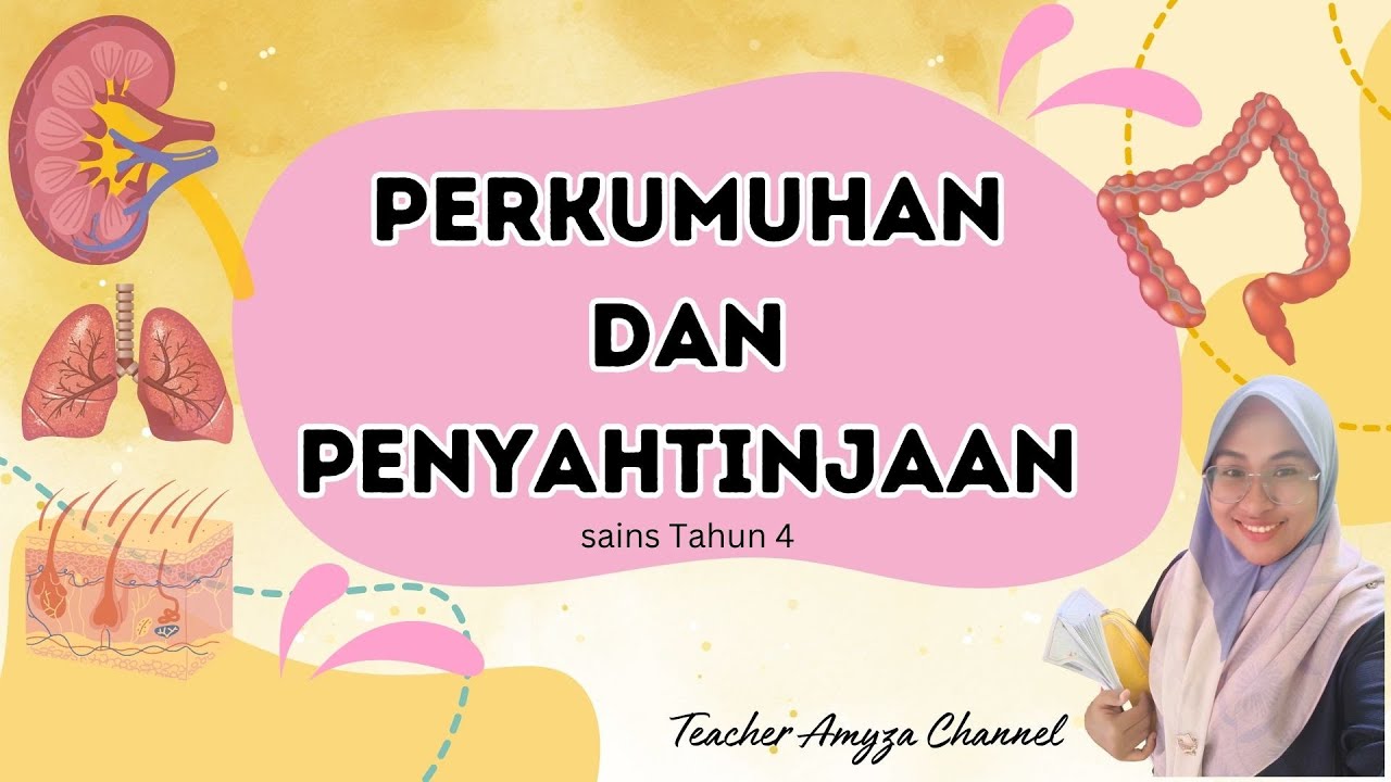 Perkumuhan dan Penyahtinjaan | Sains Tahun 4 | Proses hidup manusia ...