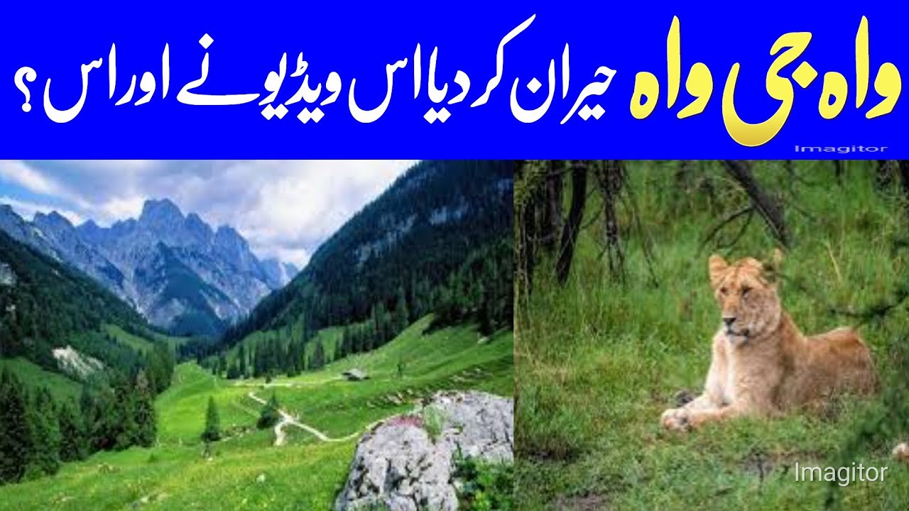 Village vlog | travel in khaghan naran, murree, Kashmir, swat | Pak ...