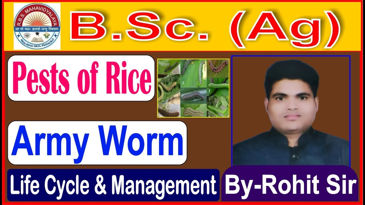Lect - 3 || Pest of Rice (Army Worm) || B.Sc. (Ag) || By - Rohit Sir ...