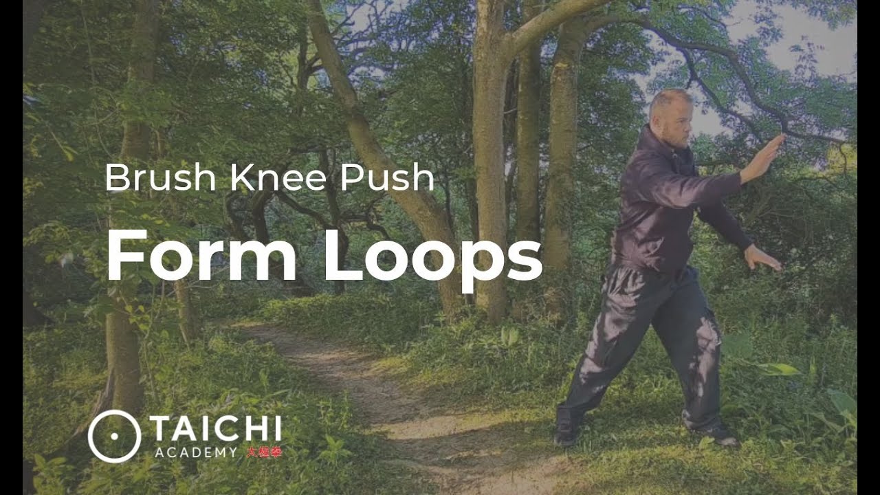 Tai Chi Loops - Brush Knee Push - YouTube