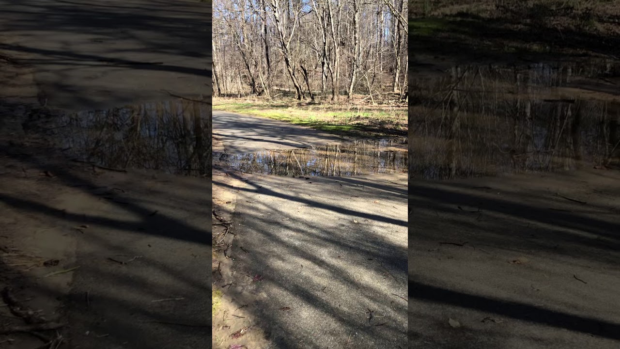 Jumping a giant puddle - YouTube