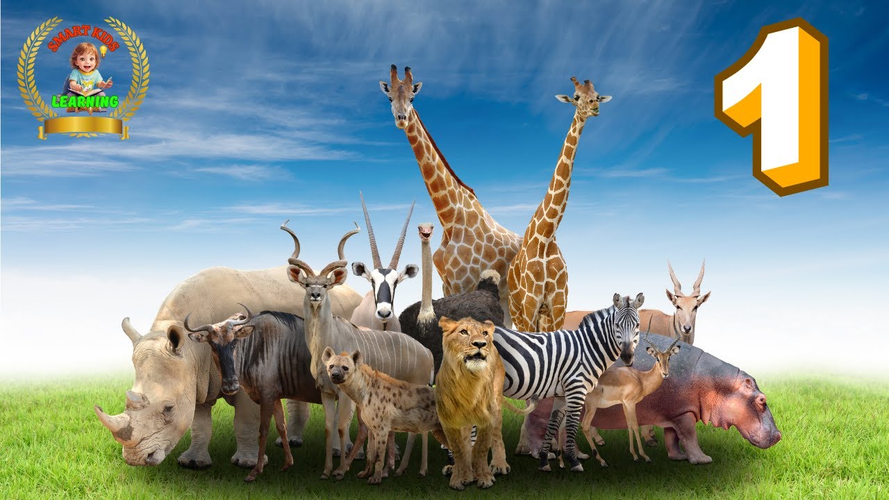 100 Wild Animal Sounds for Kids to Learn English (REAL VIDEO) - Part 1 ...