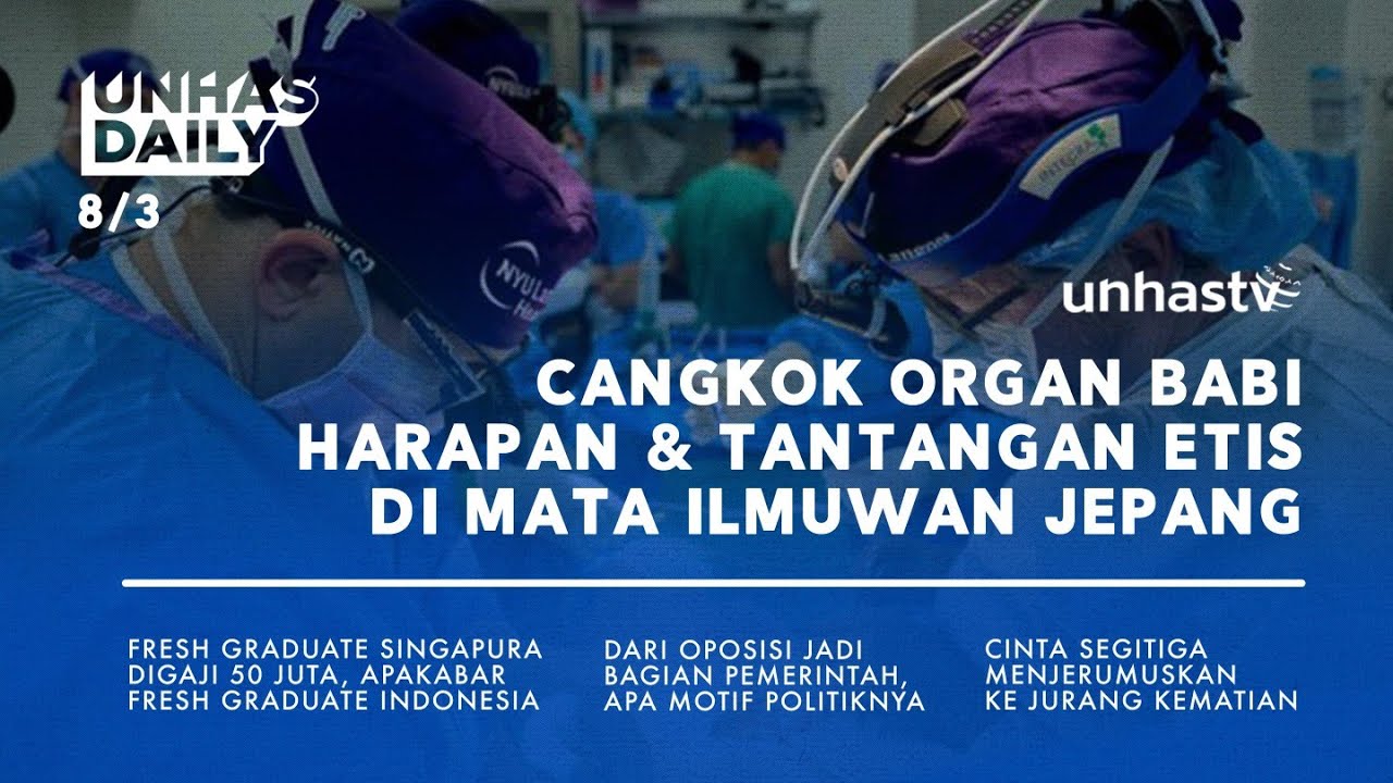 Unhas Daily 8/3 - Cangkok Organ Babi, Harapan dan Tantangan Etis di ...