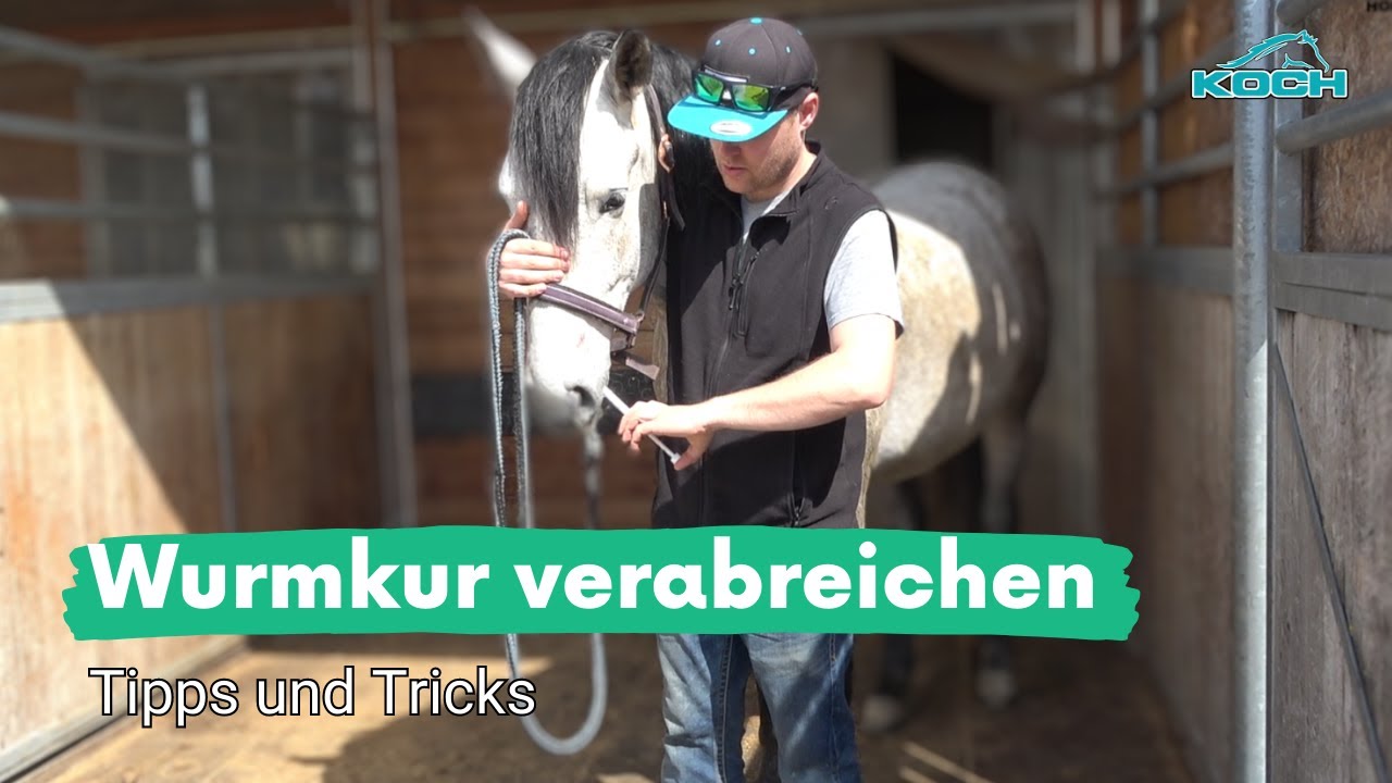 Pferde Wurmkur richtig verabreichen - Tipps und Tricks - YouTube