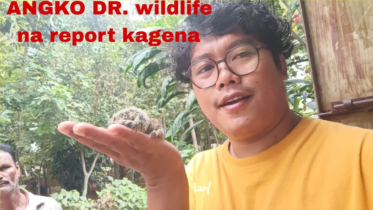 ANGKO DR. wildlife Na report kagena - YouTube