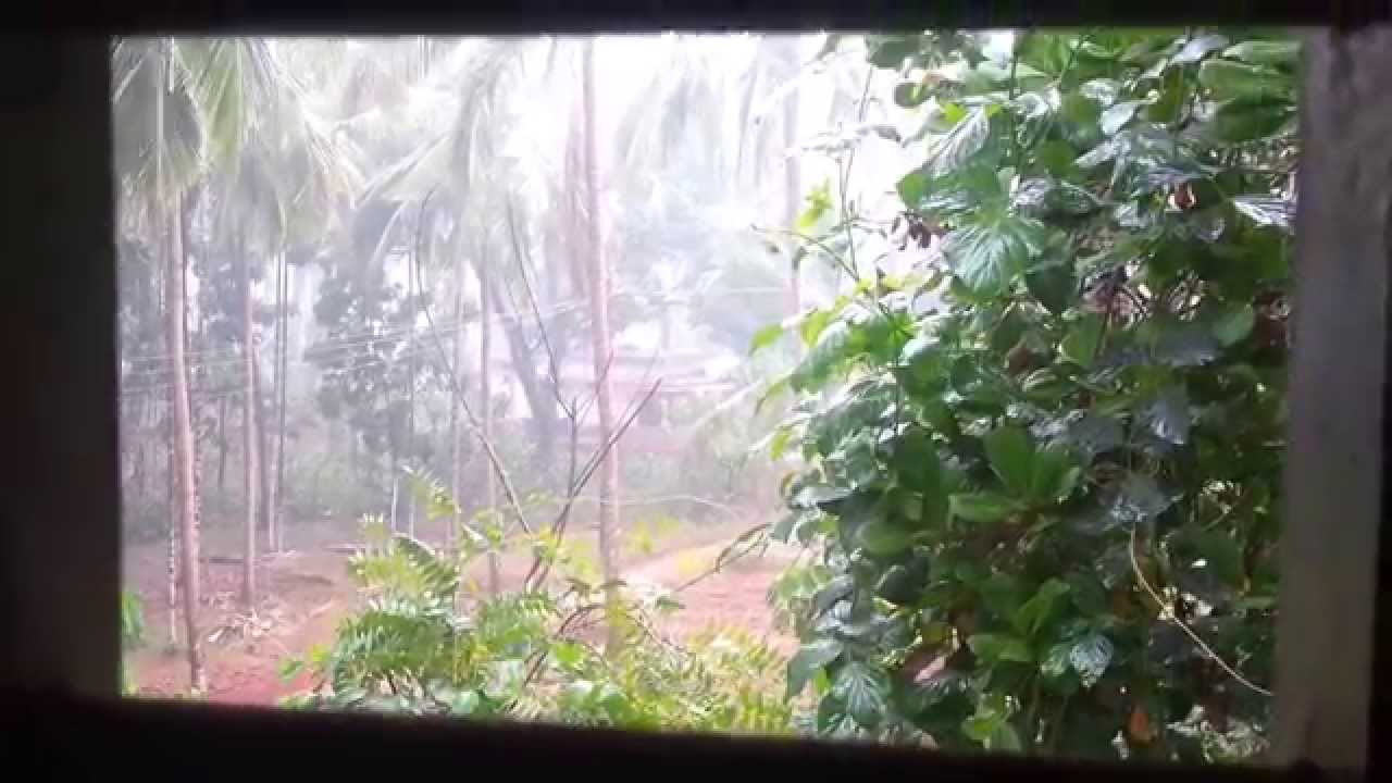 Summer rain Kerala , Venal Mazha - A view from through my window - YouTube