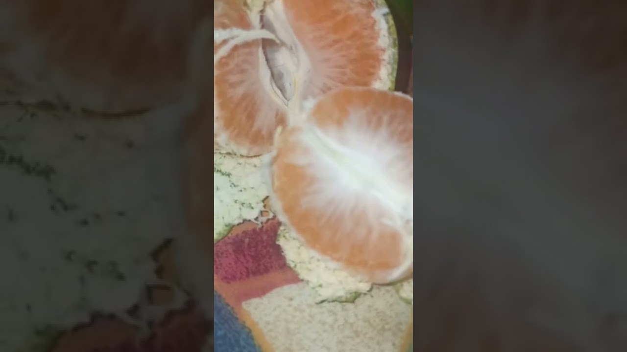 ang tamis nito 🙂 - YouTube