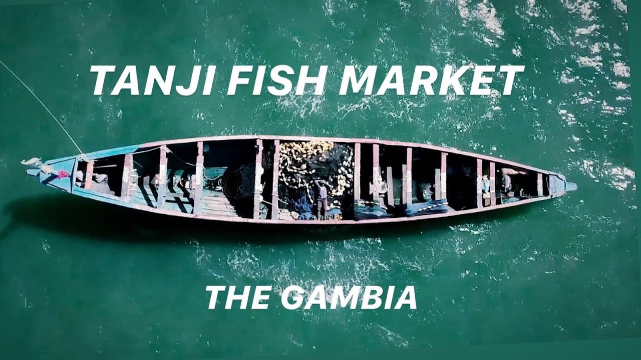 TANJI FISH MARKET: A WHETSTONE DISPATCH FROM THE GAMBIA - YouTube