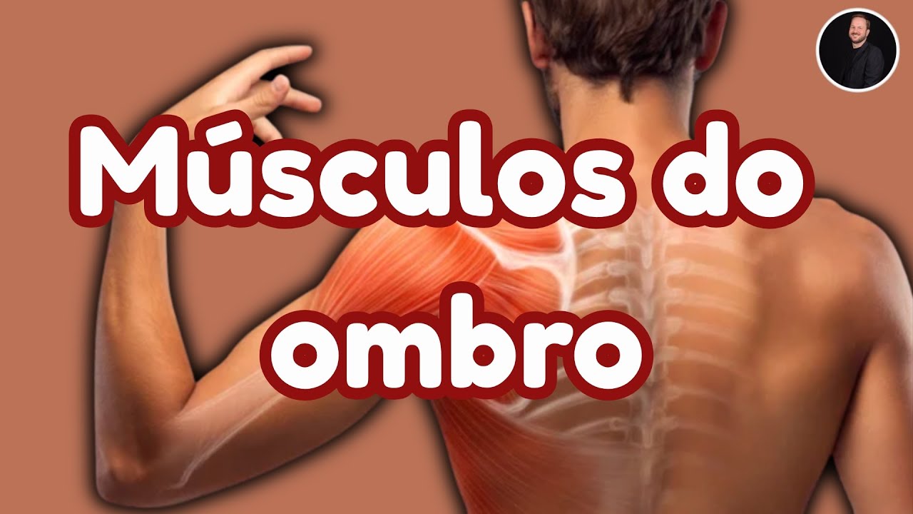 Sistema Muscular - Aula 10 - Músculos dinâmicos do Ombro - Deltóide ...