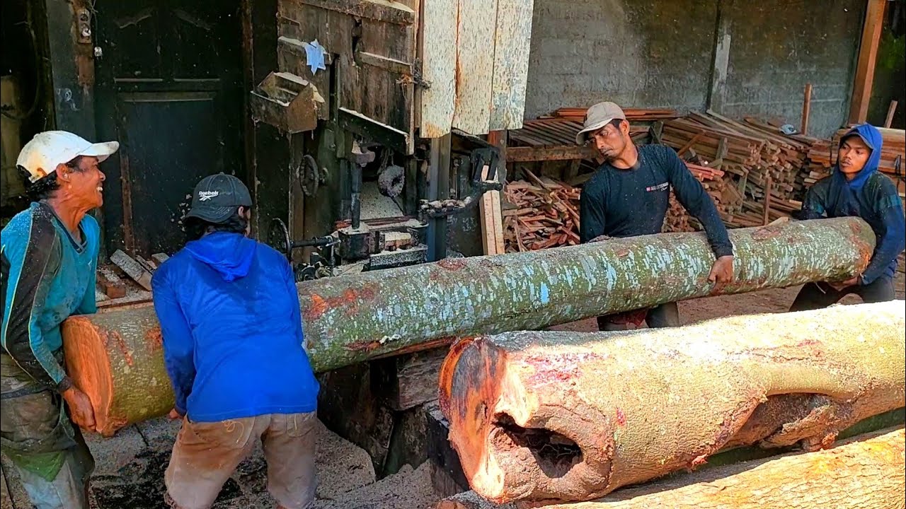 Astaga!!! Kayu wadang jenis apa berat sekali? - YouTube