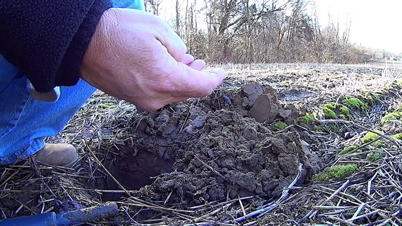 Tombac Button, Butt Plate, Ring Hunting 1800's Home Site - YouTube