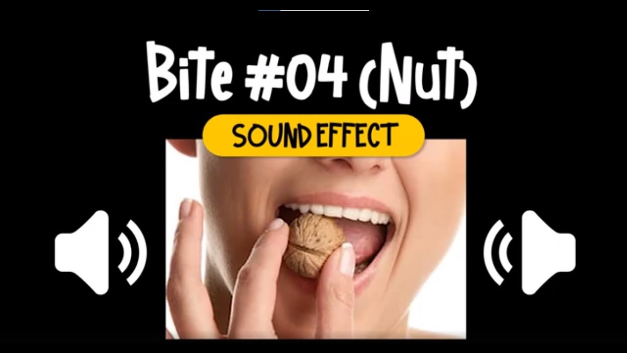 Bite #04 (Nut) Sound Effect | 咬 #04 嗑 堅果 硬殼 食物 音效 (High Quality) - YouTube