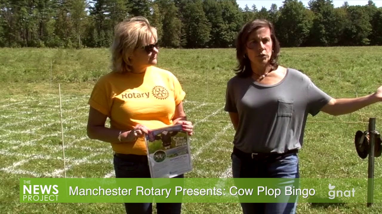 The News Project - Cow Plop Bingo - YouTube
