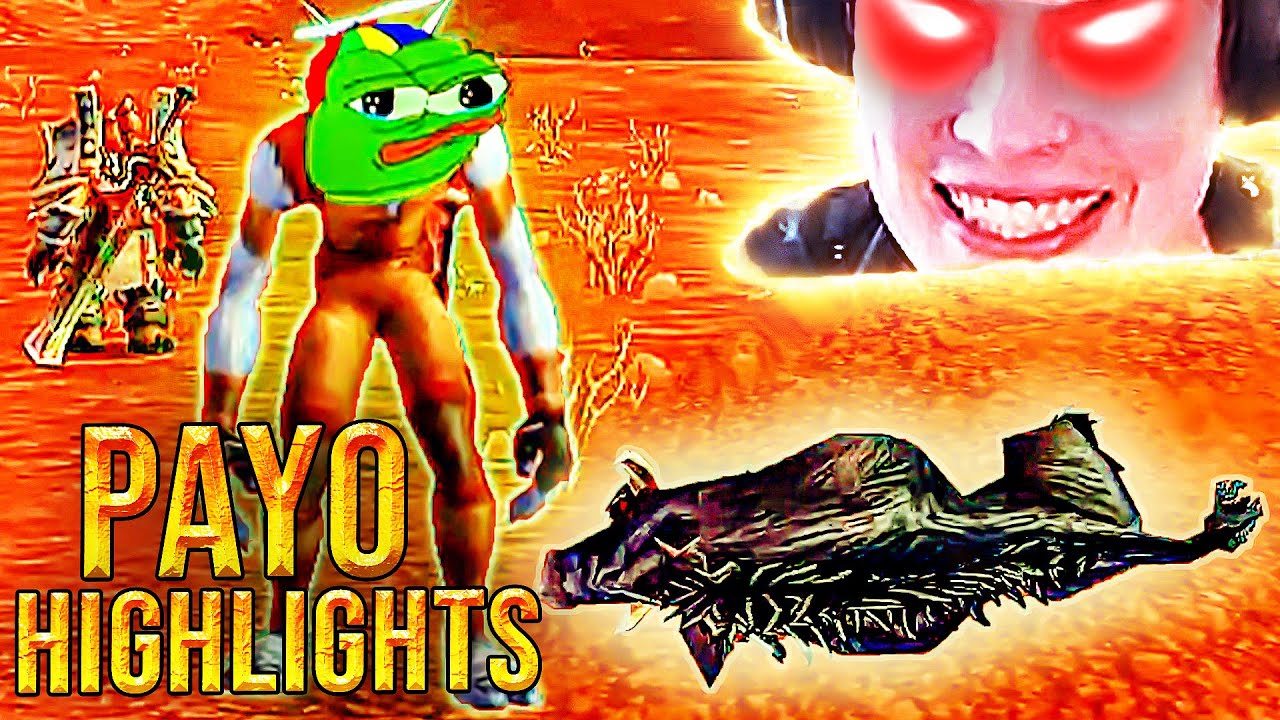 Payo Makes Fun of A New WoW Player - Daily Highlights 4 | Classic WoW ...