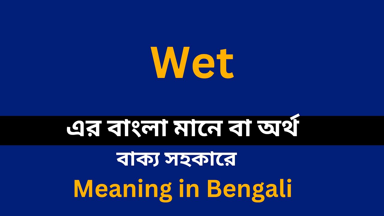 Wet meaning in bengali/Wet শব্দের বাংলা ভাষায় অর্থ অথবা মানে কি - YouTube