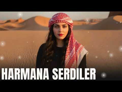 Harmana Serdiler Sarı Samanı (Arya Vokal) | Arya Müzik Lab x lRemix 2025