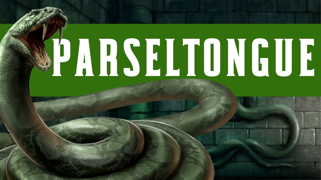 Everything You Didn’t Know About Parseltongue - YouTube