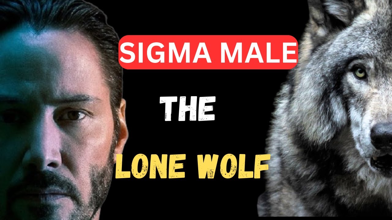 Signs Of Lone Wolf Personality - YouTube