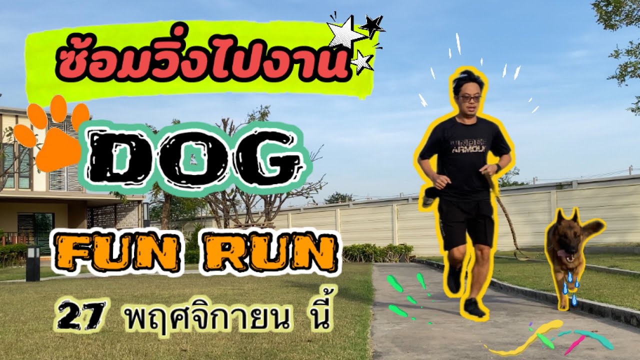เชิญชวนพาน้องหมาไปวิ่งงานDog fun run 27 พฤศจิกายนนี้ - YouTube