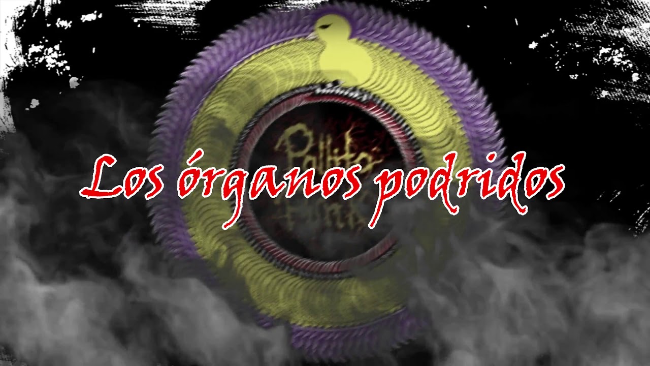 Somos Thrash/Punks - Pollito Punk - YouTube