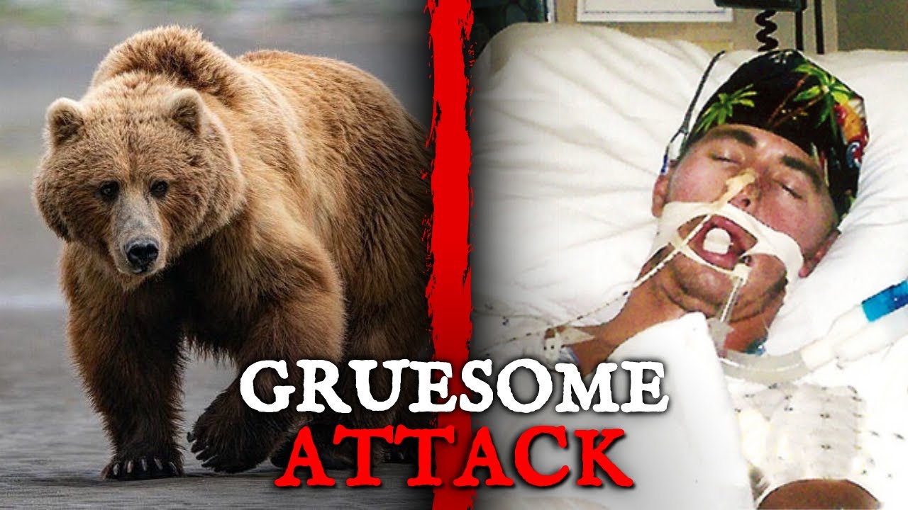 Grizzly Bear Spots Man Walking His Dog and Does The Unimaginable - YouTube