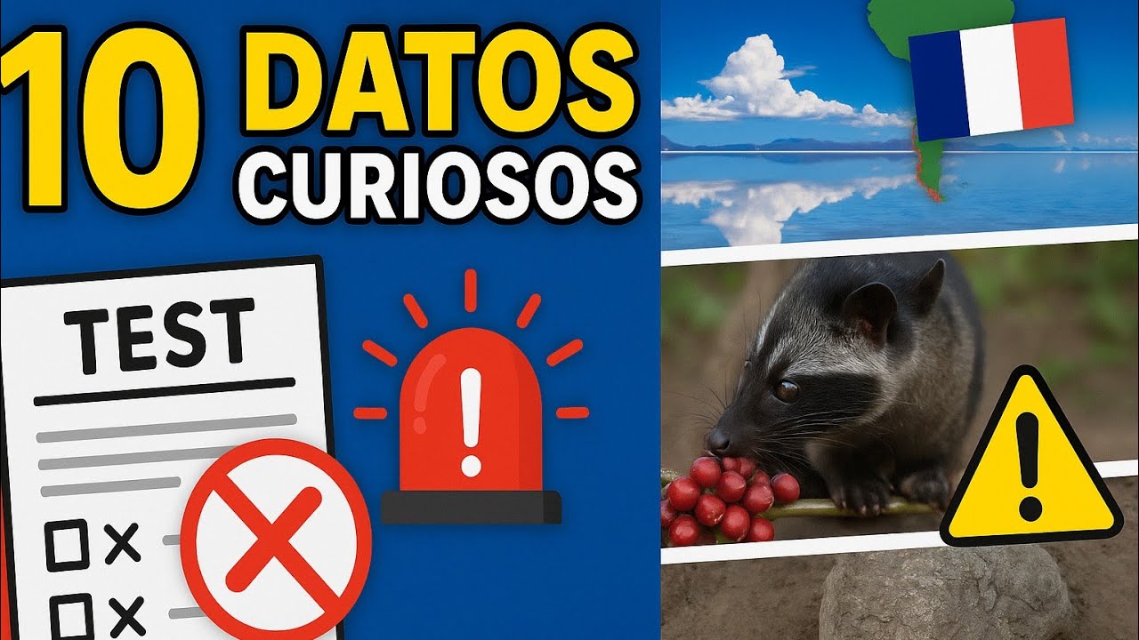 10 DATOS Curiosos del Mundo que NO Conocías - YouTube