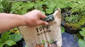 Торфяная таблетка в аквариуме! Влияние торфа на параметры воды в ...