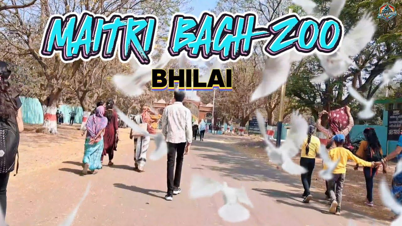 Maitri Bagh Zoo Bhilai | Explore This Beautiful Wildlife Destination ...