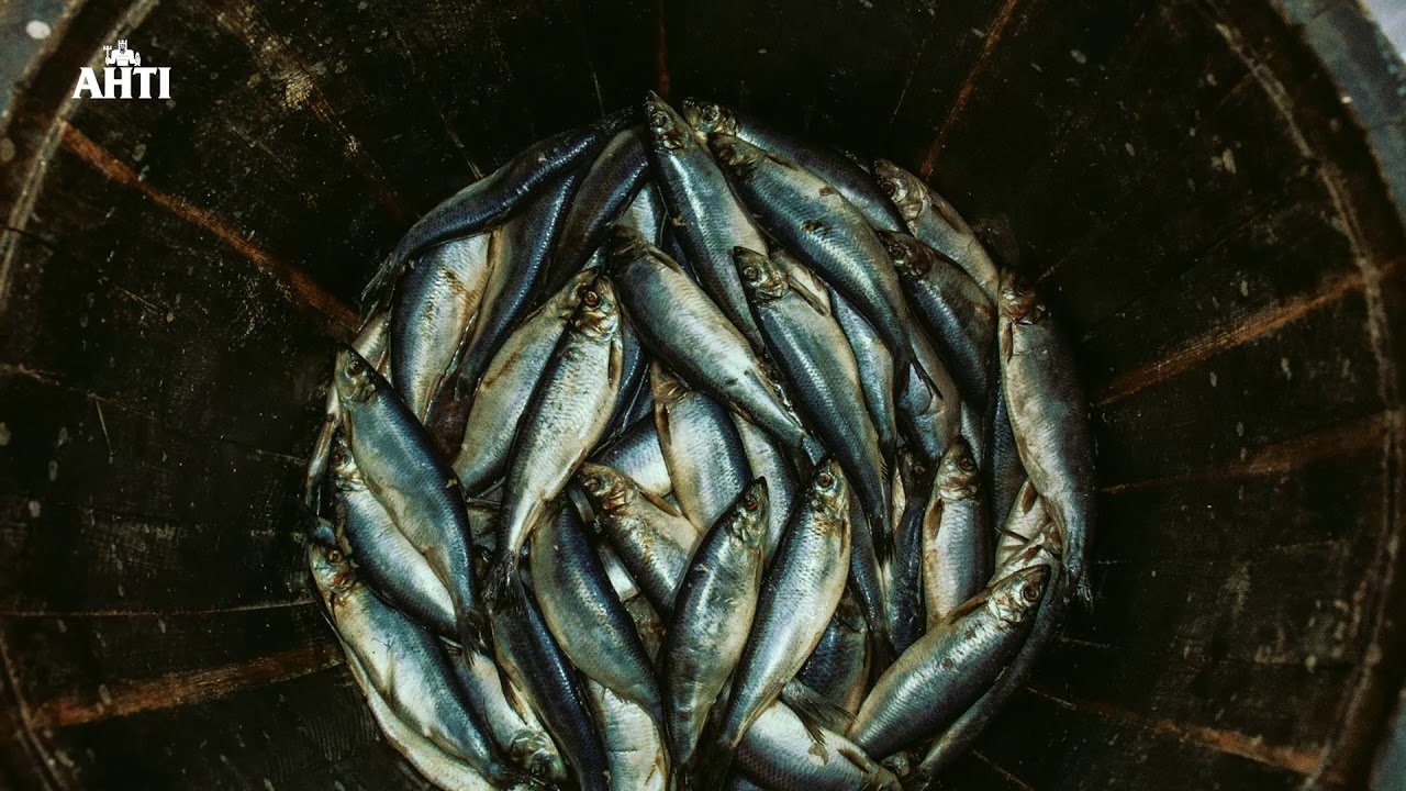 Ahti Silli 20s - YouTube