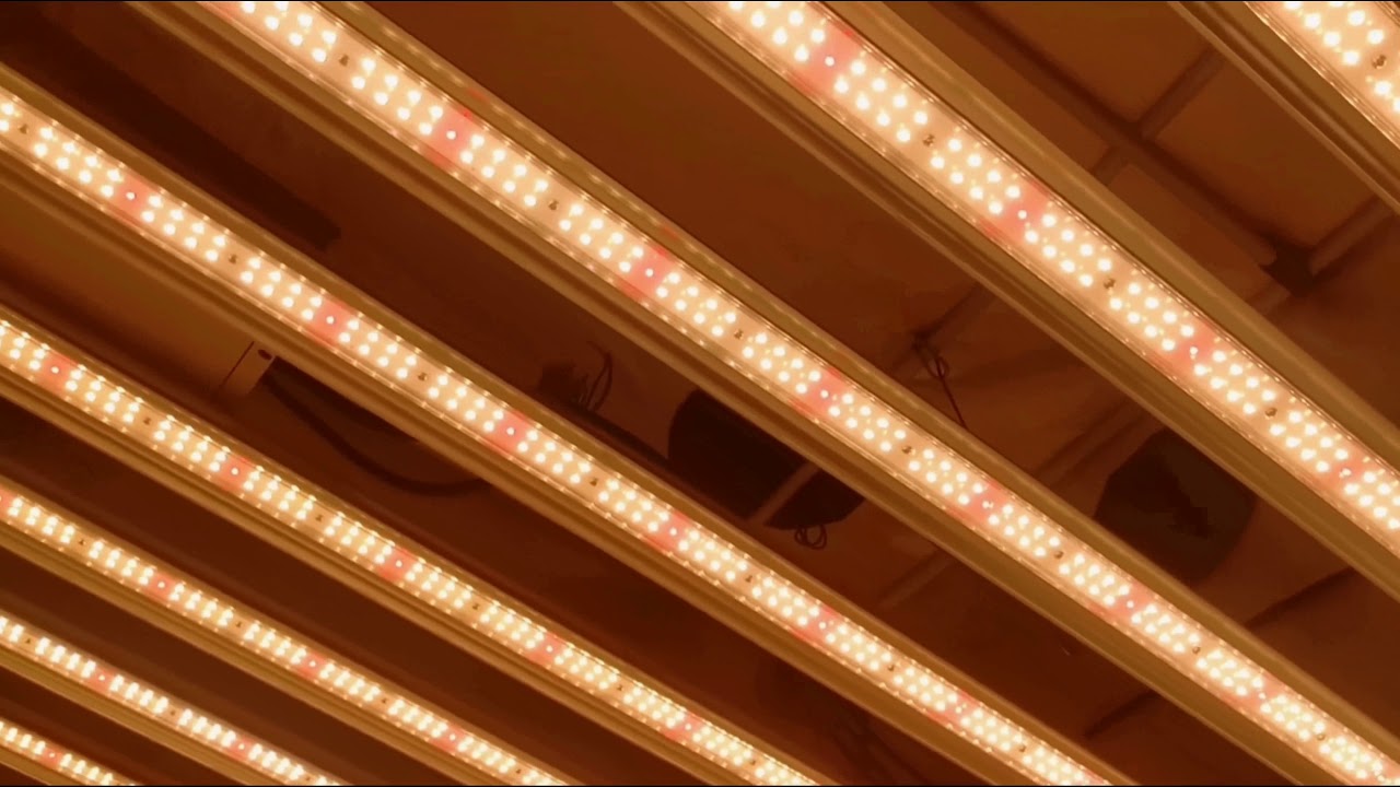 QUASAR SERIES BANNER VIDEO - YouTube