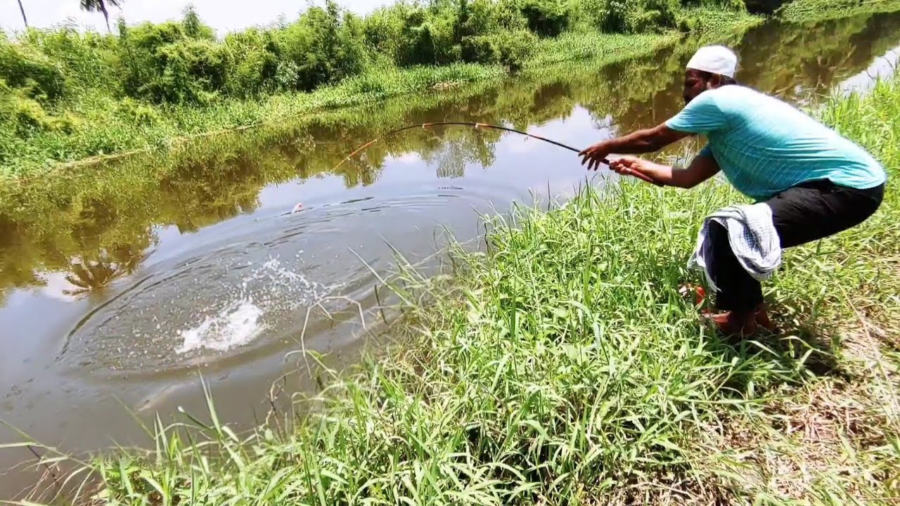 Awesome Fishing|Fisher Man Catching The Fishes In Small Hook|We Used ...