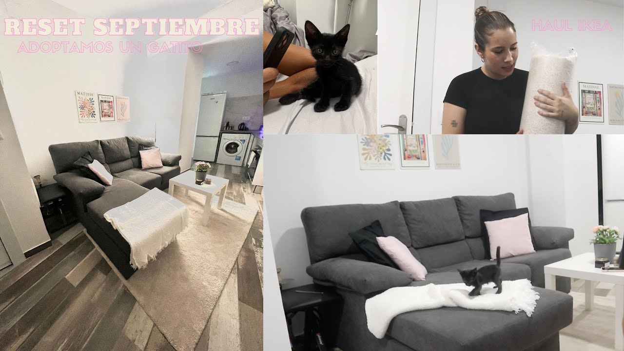 LO QUE NECESITABA PARA EMPEZAR CON MÁS GANAS QUE NUNCA | DECORACIÓN ...