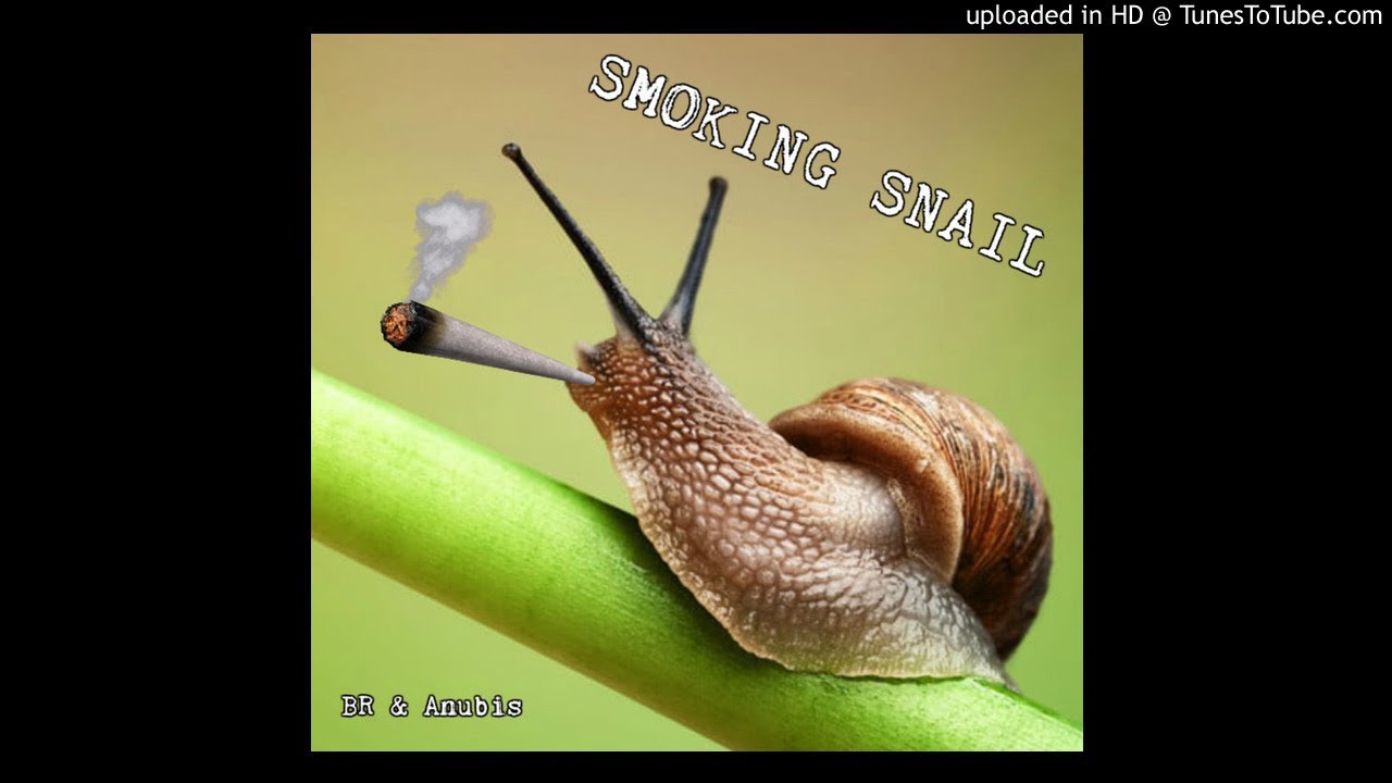 SMOKING SNAIL - Stoner Rock Instrumental (Produced by Kneel Before ...