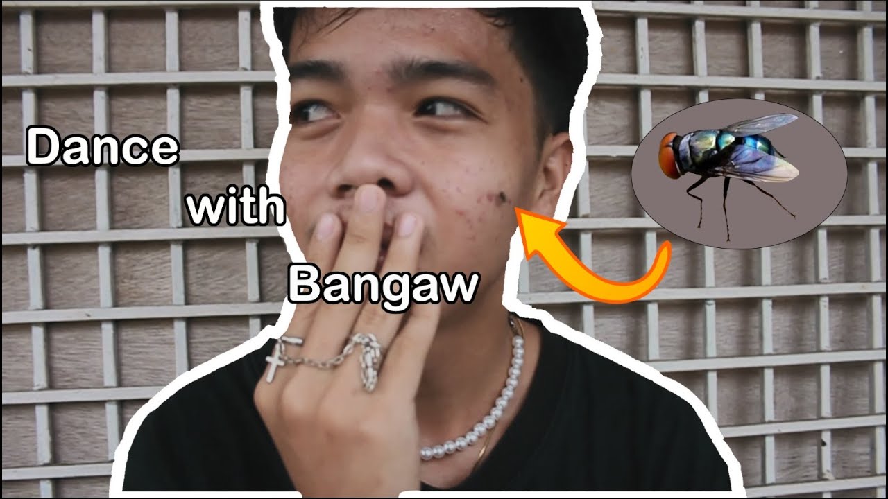 Dance with Bangaw/Langaw (vlog#4) - YouTube