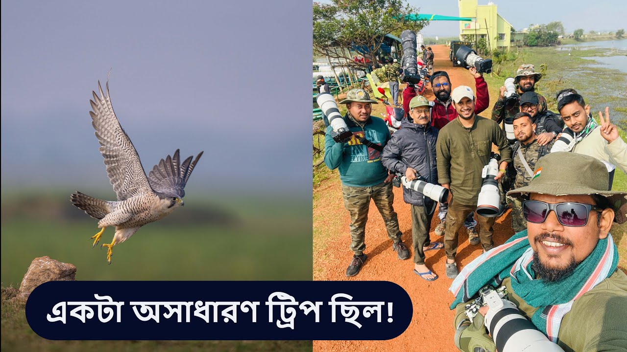 Manglajodi তে তৃতীয় দিন ! Wildlife Photography Vlog in Bengali , Bird ...