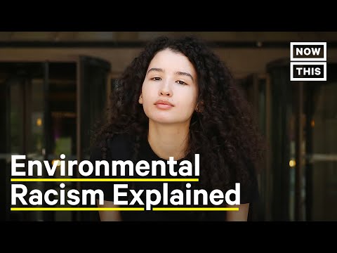 How Air Pollution Exposes America's Racial Disparities | NowThis