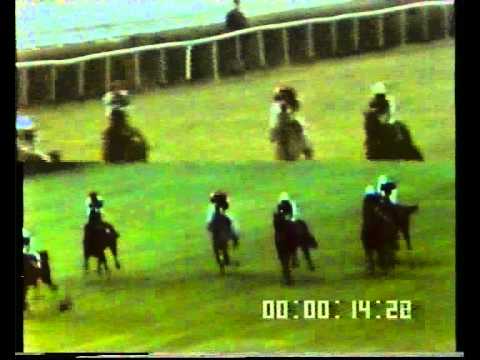 1985 CUMHURBAŞKANLIĞI KOŞUSU SEREN KARANİMO UĞURTAY