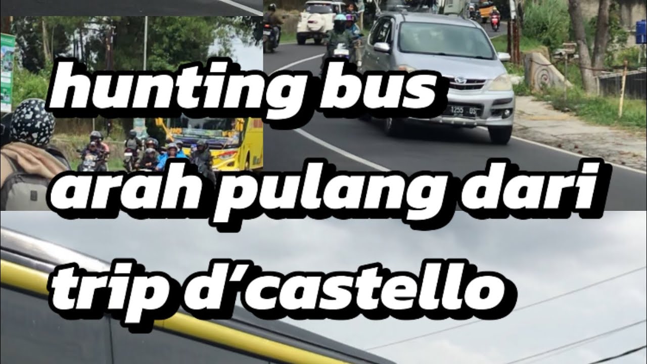 hunting bus yg pulang dari d’castello #busmania#basuri#trip - YouTube