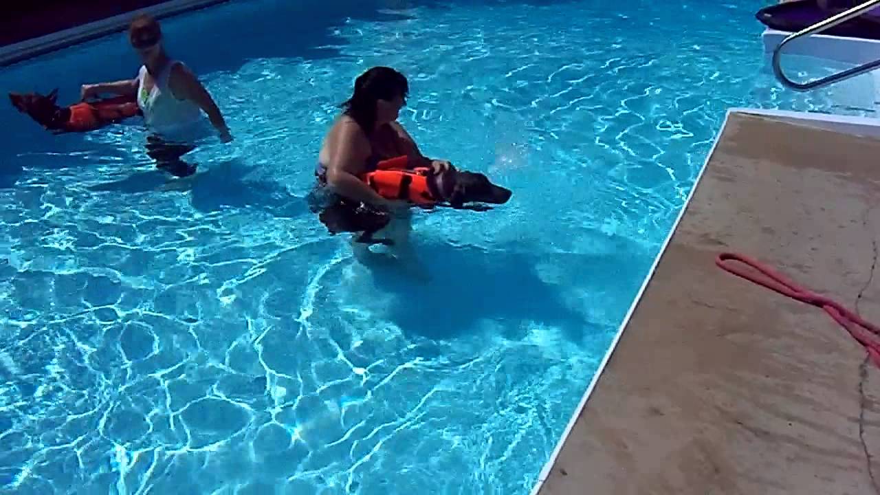 Billie swim - YouTube