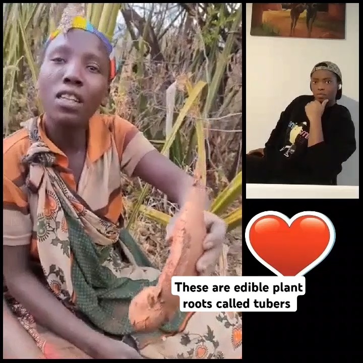 these are edible plant roots called tubers #foodforfoodies # ...