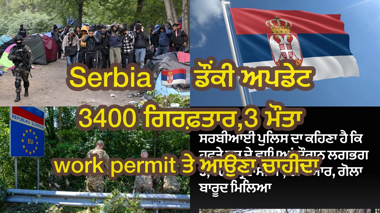 Serbia 🇷🇸 new update/Serbia donky news/Serbia work permit update ...