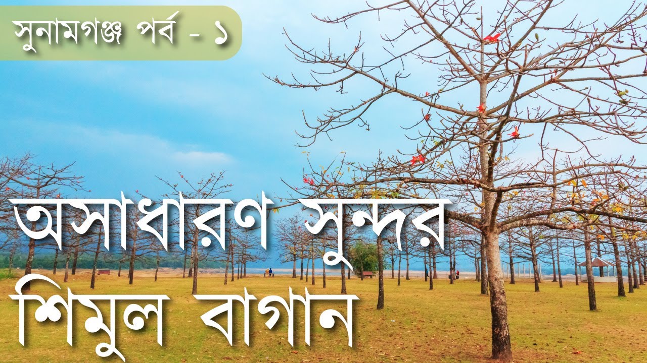 বিশাল শিমুল বাগান | Beautiful Shimul Bagan | Sunamganj EP:1 - YouTube