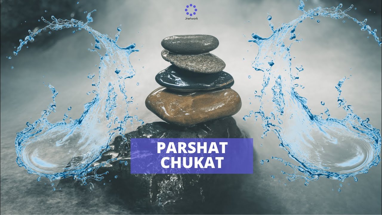 Parshat Chukat with Rabbi Avi Hill - YouTube