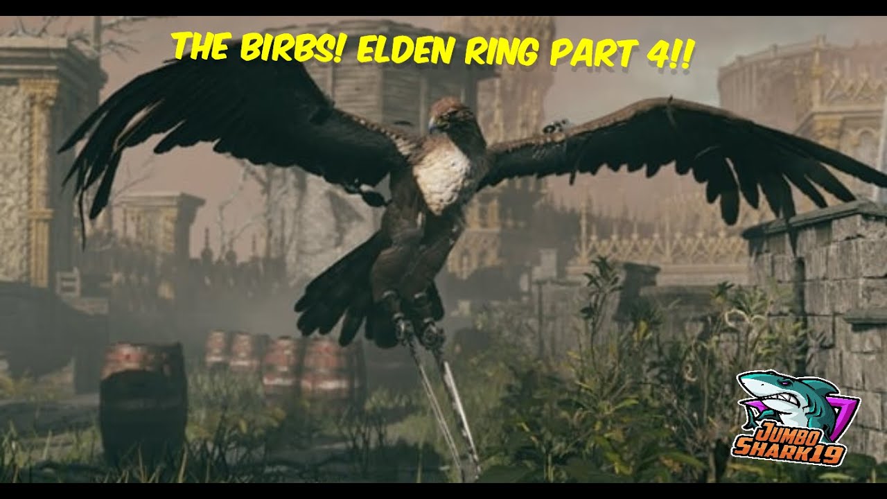 THE BIRDS!!!! ELDEN RING PART 4!!! First playthrough! - YouTube